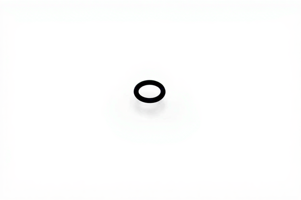 DISS Nipple O-ring Replacement, O2 (10 pcs/pk) - Bay Corp 1240-0 ...